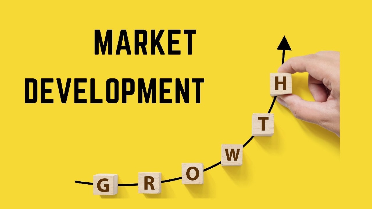 Market Development Strategi: Pengertian, Tips, dan Contohnya