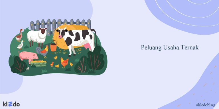 20 Peluang Usaha Ternak dan Tips Membangunnya
