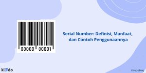 Serial Number: Definisi, Manfaat, dan Contoh Penggunaannya